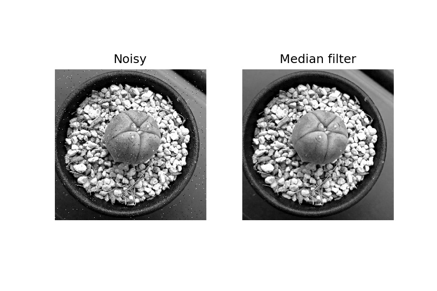 [scipy] 3 Ndimageによる画像処理 サボテンパイソン