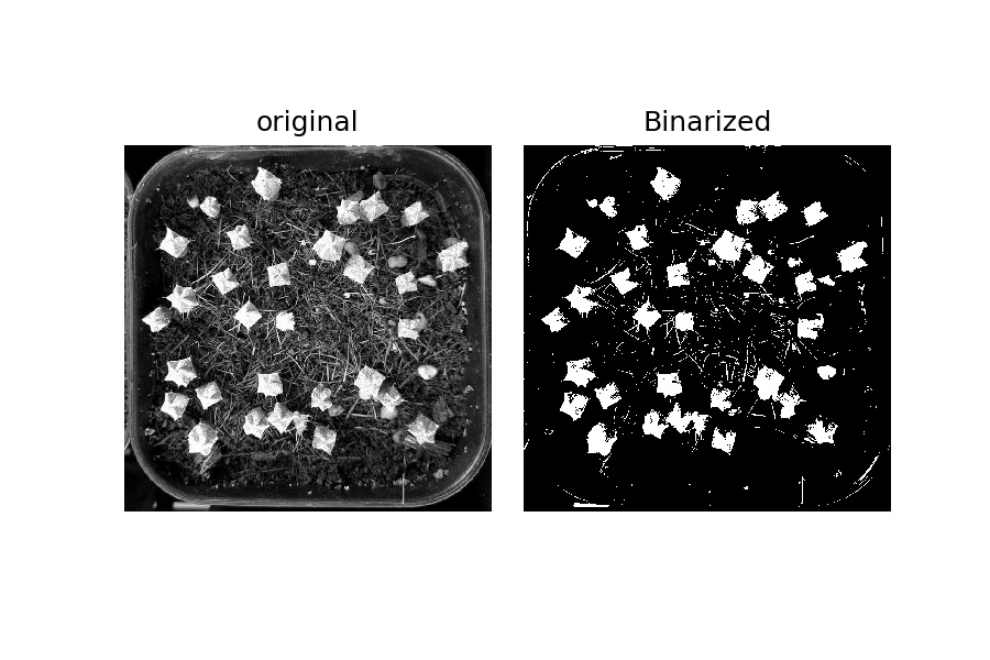 [SciPy] 5. ndimageのmeasurements, morphologyによる実生サボテンのラベリングとサイズ計測 – サボテンパイソン