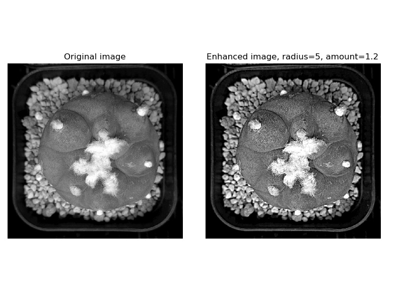 scikit-image-36-skimage-filters-unsharp-mask