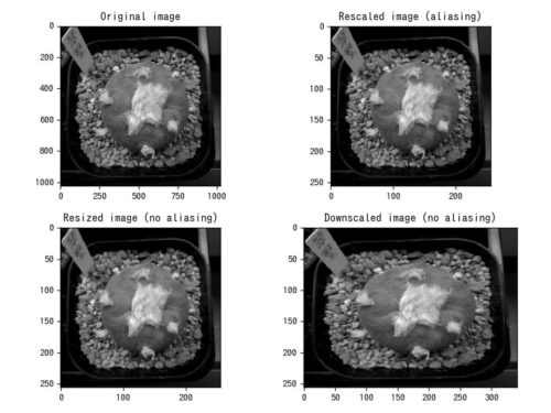 [scikit-image] 27. 画像のサイズ変更、形状変更(skimage.transform.rescale など) – サボテンパイソン