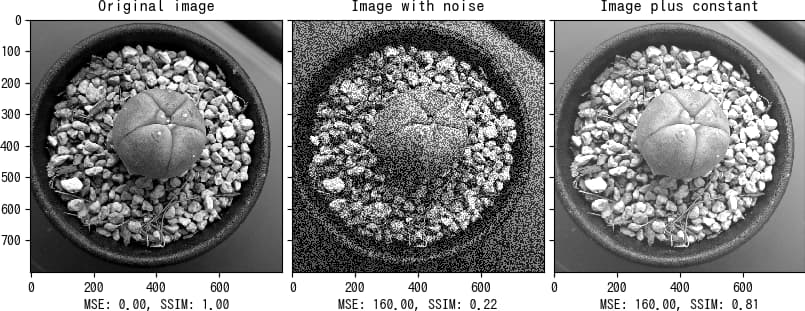 [scikit-image] 30. 画像の構造類似性(skimage.measure compare_ssim) – サボテンパイソン