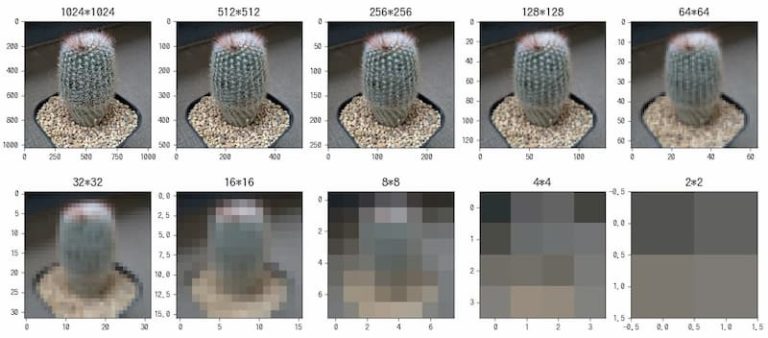 [scikit-image] 60. 画像の一部分を低解像度(モザイク)にする(skimage.transform pyramid_gaussian, rescale) – サボテンパイソン