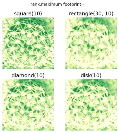 [scikit-image] 108. マキシマムフィルタによる高輝度部分の強調(skiamge.filters.rank.maximum) – サボテンパイソン